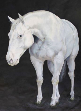 Awards Ceremony for District Winners of Houston Rodeo’s School Art ...